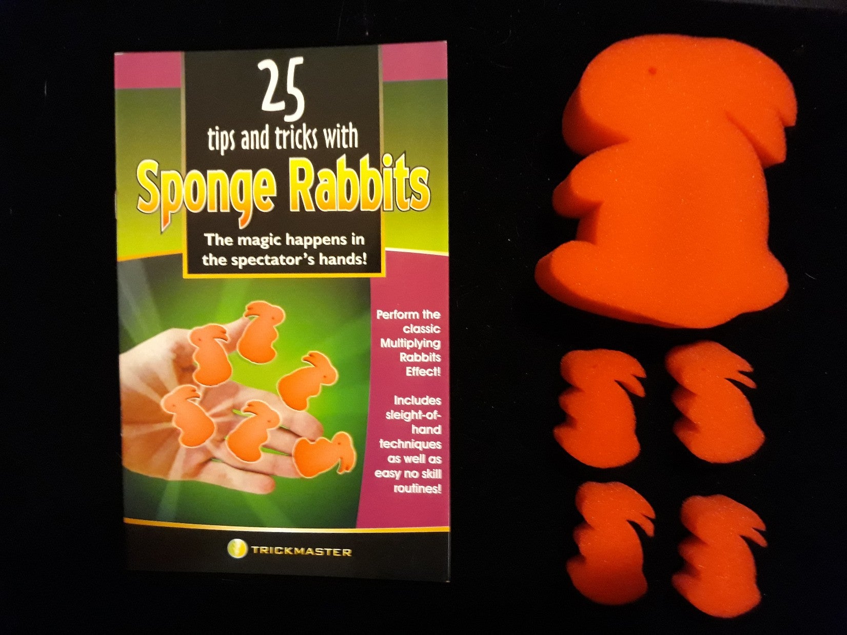 sponge rabbits